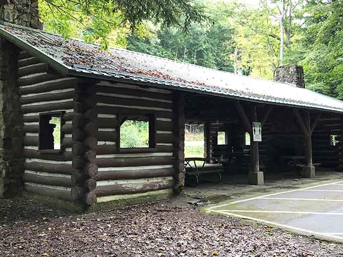 The rustic picnic shelter offers a perfect lunch spot where nature provides the entertainment and ambiance free.