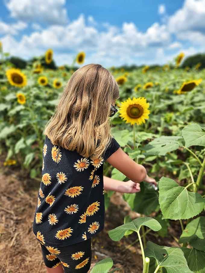 Young explorer discovers that sometimes the best adventures involve dirt paths and flowers taller than grown-ups.