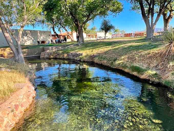 The spring channel flows like liquid glass, proving nature's plumbing system works better than anything humans ever designed.
