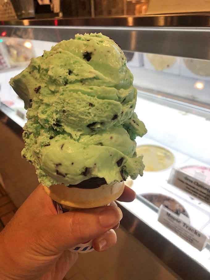 Mint chip in a cone is classic perfection, proving some combinations never go out of style for good reason.