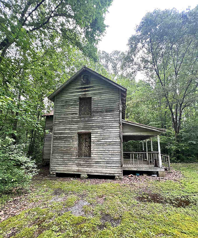 This weathered structure stands as a quiet reminder of the swamp's long history with human visitors.