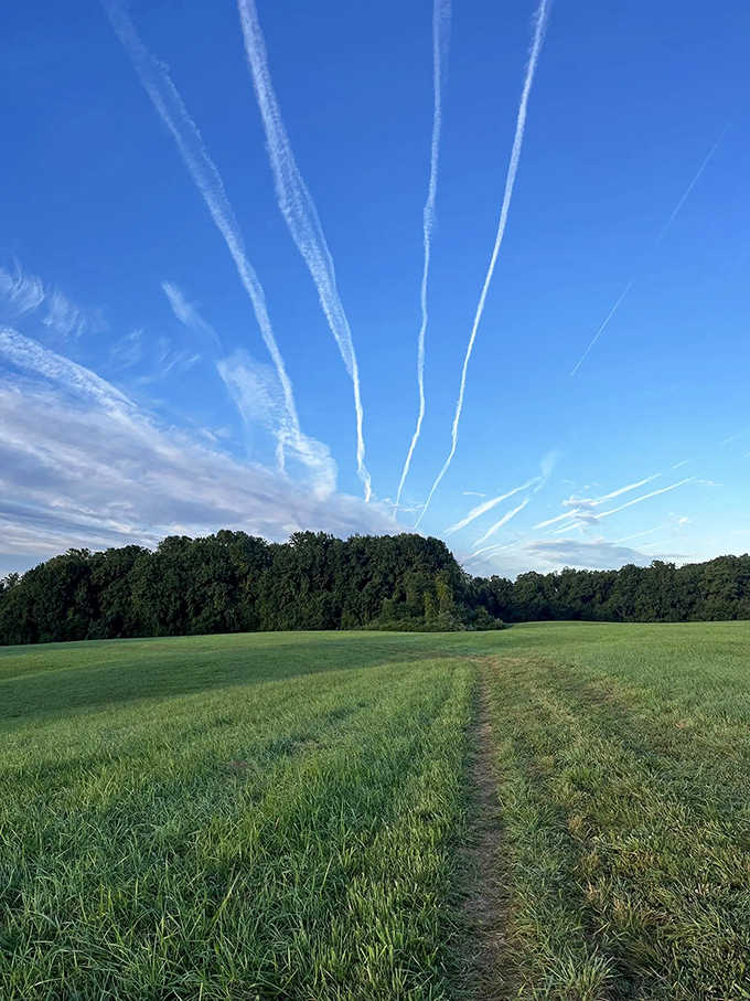 Open fields under dramatic skies that look like nature hired a professional photographer to set the scene.