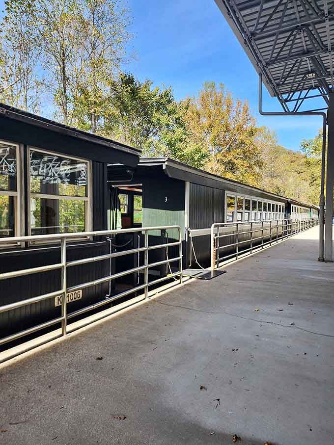 The platform at Stearns where your adventure begins and reality takes a well-deserved coffee break.