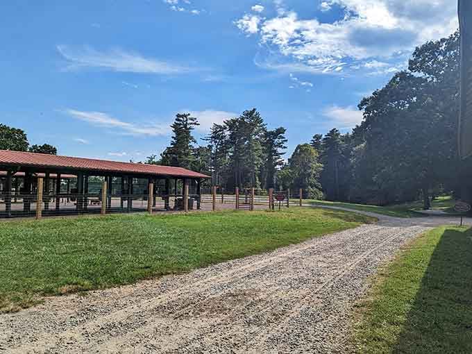 Modern barn meets timeless tradition, where horses rest between their shifts as time-travel facilitators.