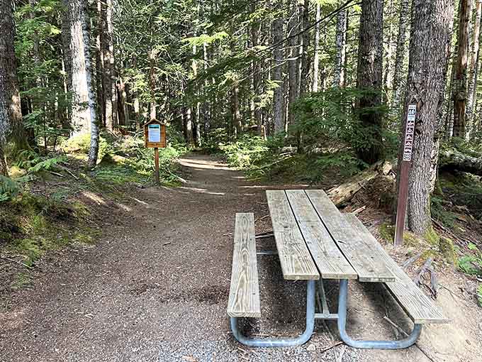The trailhead picnic area offers one last chance to prepare before the real climbing begins.