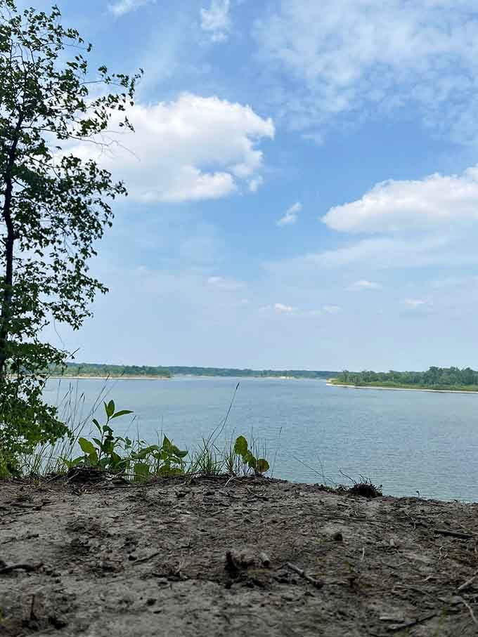 The reservoir views peek through the trees, offering those postcard-perfect moments that make you forget you're still in the Midwest.