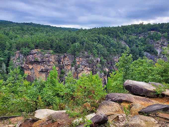 Those layered cliffs tell stories spanning millions of years, and somehow they never get old in the telling.