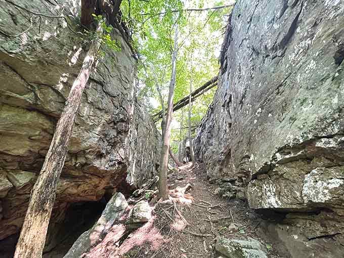 These ancient rock walls have been standing longer than anyone's been complaining about gas prices.