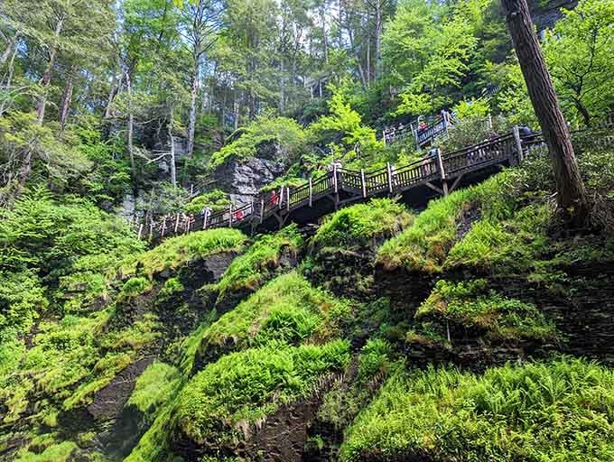 Moss-covered cliffs rising like green velvet curtains around the trail system, nature's own interior decorating at its finest.