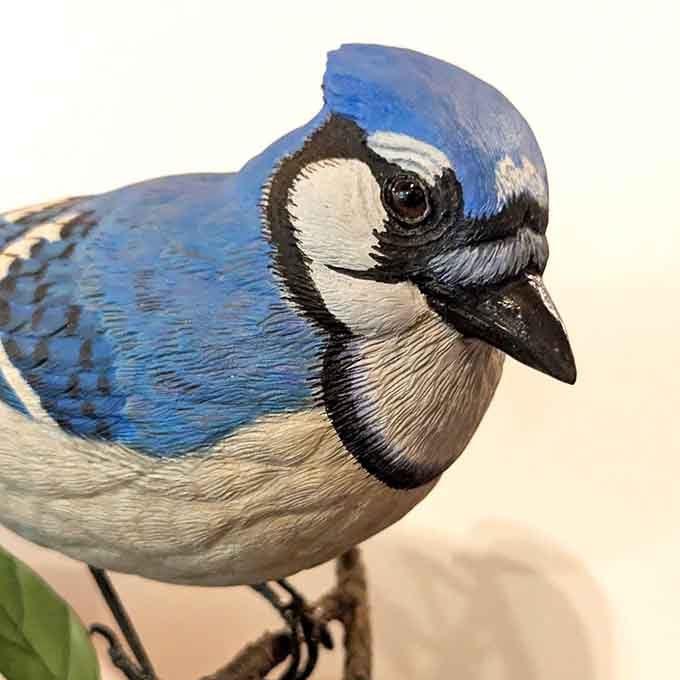 This stunning blue jay specimen shows off nature's artistry in a way that makes you appreciate every backyard visitor.
