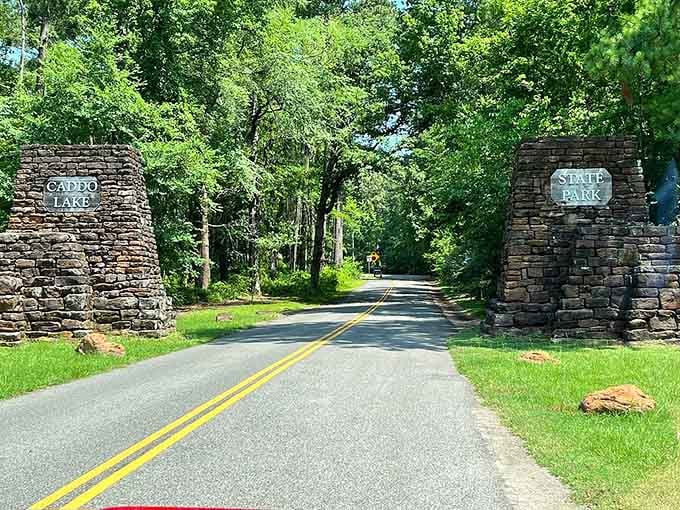 Welcome to Caddo Lake State Park, where the entrance promises adventures that'll redefine what you thought Texas looked like.