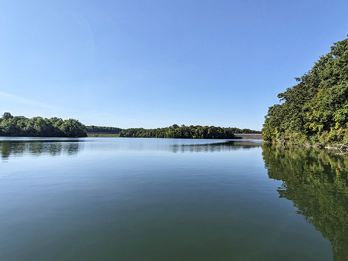 The lake stretches peacefully across thousands of acres, hiding its fossil-rich secrets beneath the surface.