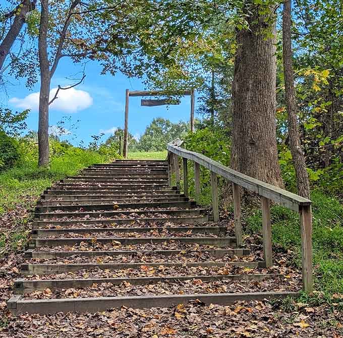 These wooden steps lead somewhere worth the climb, unlike most staircases that just take you to another floor.