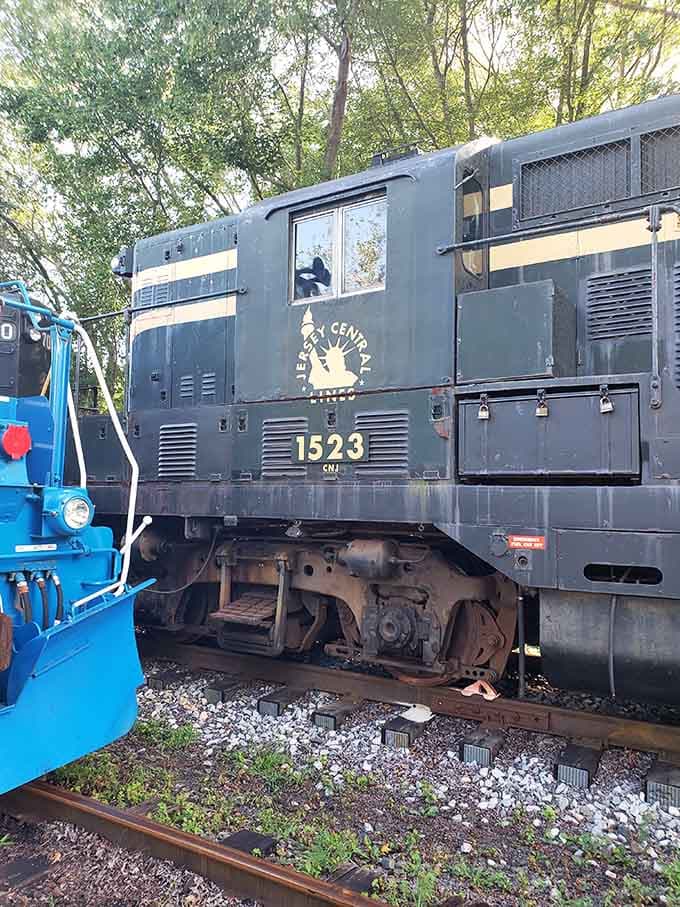 Historic diesel locomotive number 1523 still chugging along, proving old workhorses never truly retire from service.