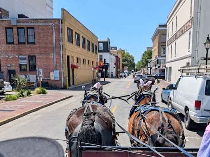 The view from your carriage seat reveals Savannah's charm at exactly the right speed: wonderfully, blissfully slow.