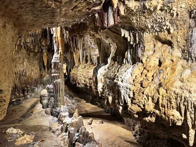 Every surface tells a story written in stone, one microscopic layer at a time across millennia.