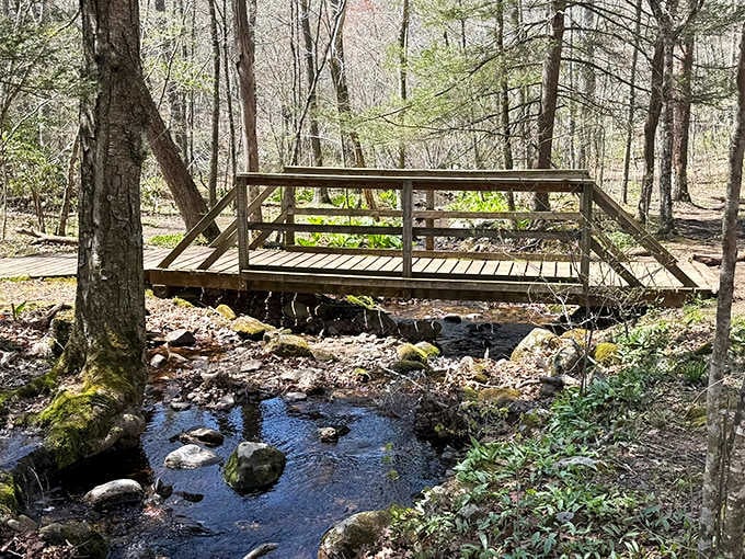 A charming wooden bridge crosses the brook, offering front-row seats to the water's journey toward its dramatic finale.