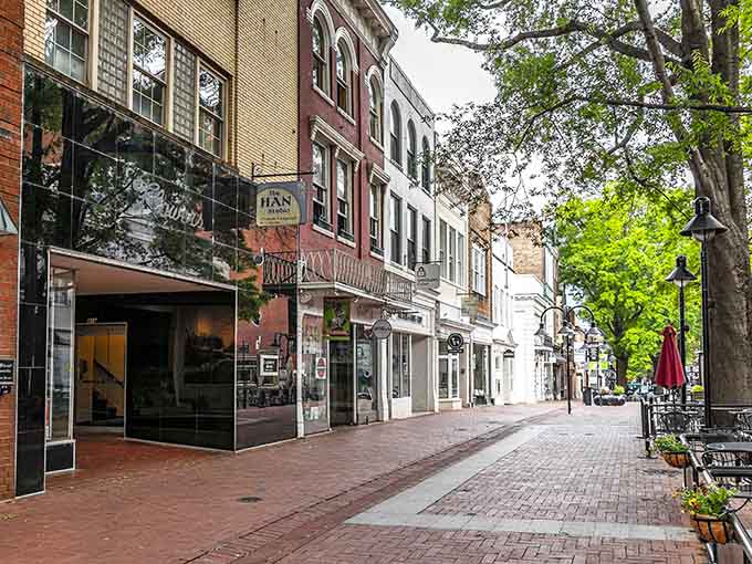 Boutiques, cafes, and character around every corner, Charlottesville's streets reward the curious and the hungry equally.