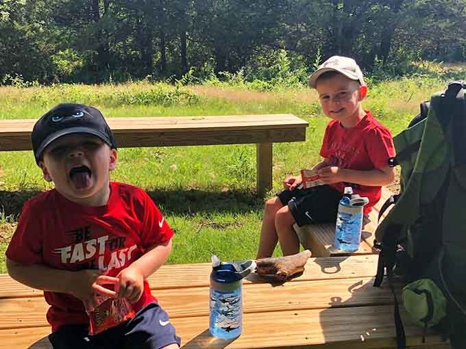 Post-hike snacks taste better when earned through actual walking, not just thinking about it.