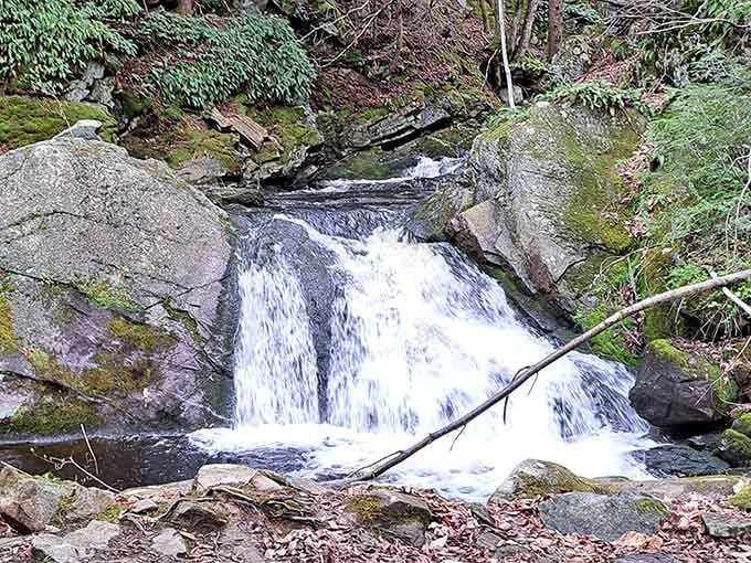 Mother Nature showing off her waterfall skills like she's auditioning for a nature documentary.