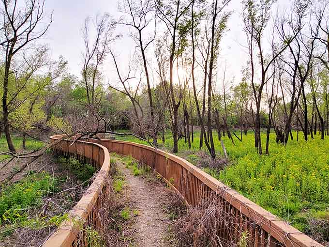This winding boardwalk through the bottomland forest proves that the journey really is as good as the destination.