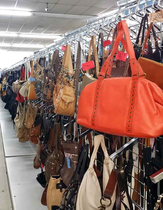 Handbags hanging like colorful fruit ready for picking, each one with its own mysterious past and future adventures.