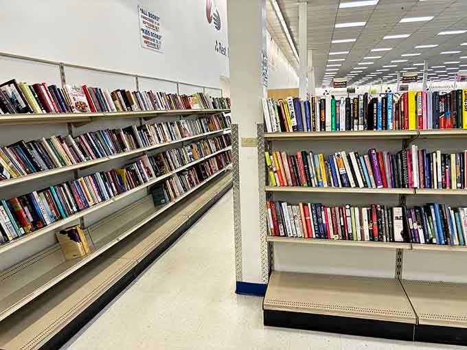 Literary treasures line these shelves like a library designed specifically for people who appreciate spectacular bargains always.