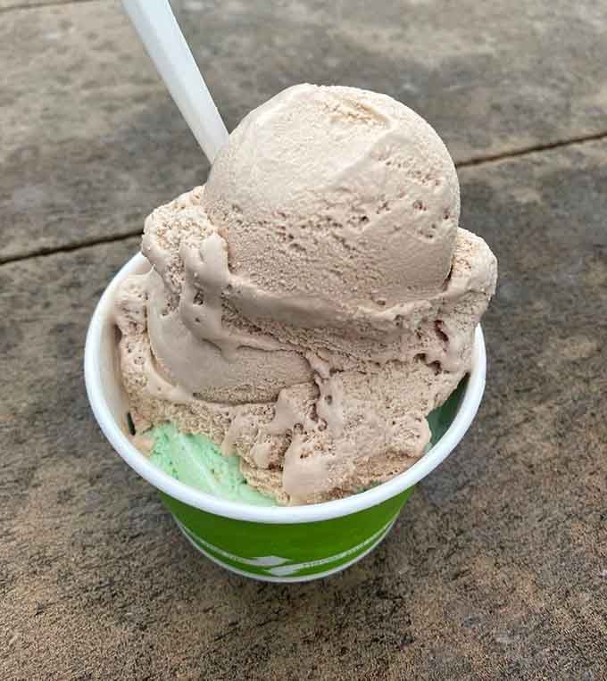 Penuche Fudge meets mint chocolate chip in a cone that's basically a masterclass in flavor contrast and harmony.