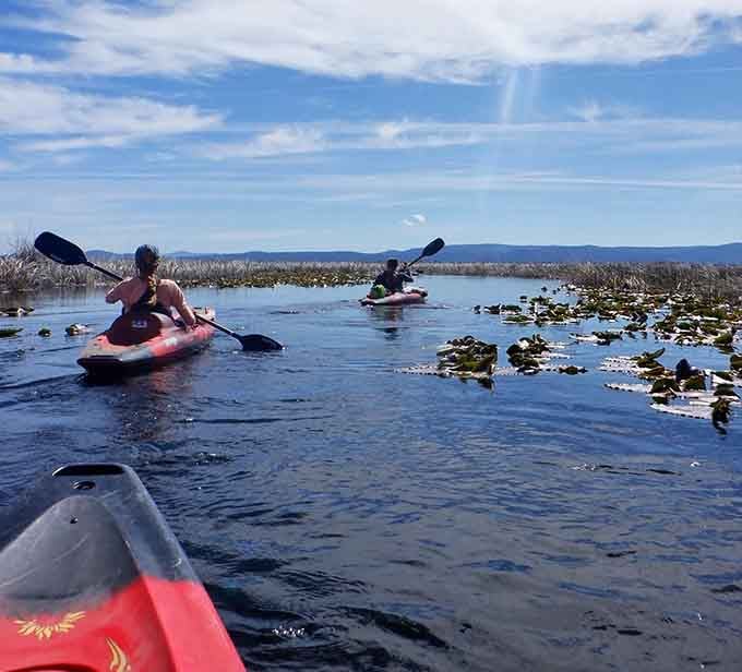 Paddle through Upper Klamath Basin's serene waters where the only traffic jam involves ducks and spectacular mountain views.