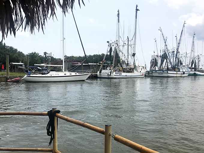 The working harbor reveals its character from water level, where shrimp boats and sailboats share space like old neighbors.