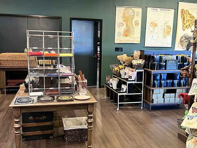 Even the bird cages feel right at home in this wonderland where the line between pet store and museum delightfully blurs.