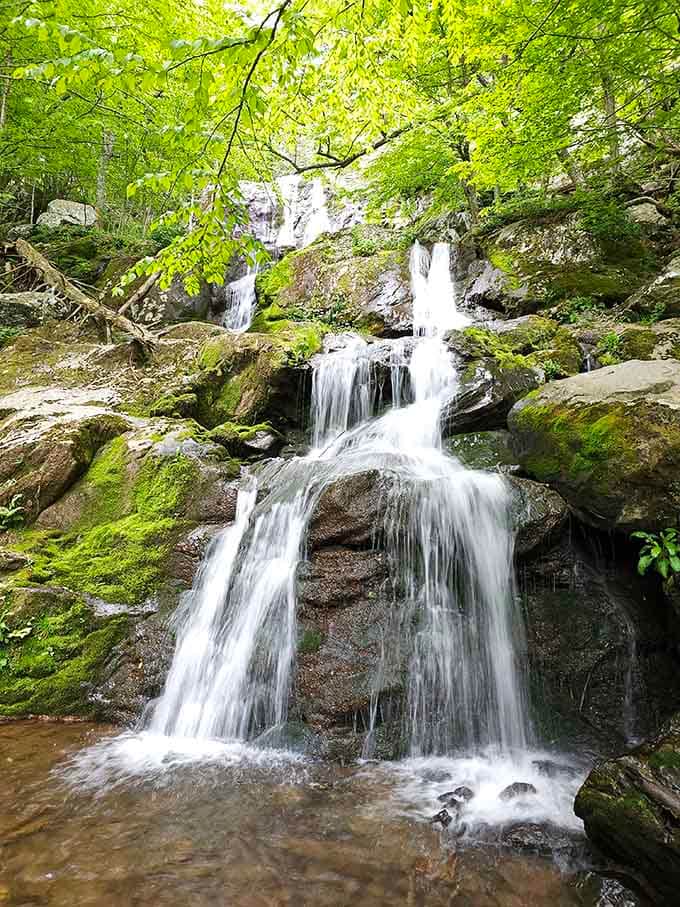 When the waterfall reveals itself through spring's vibrant greens, it's like nature finally letting you in on the secret.