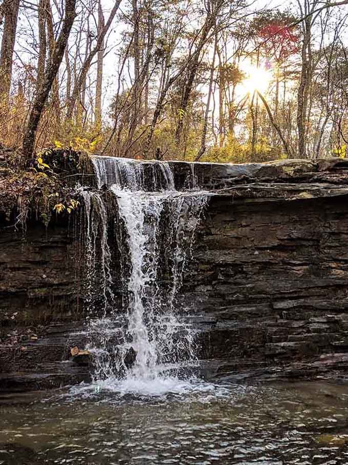 These gentle streams create their own soundtrack, the kind of white noise that actually works better than any app.