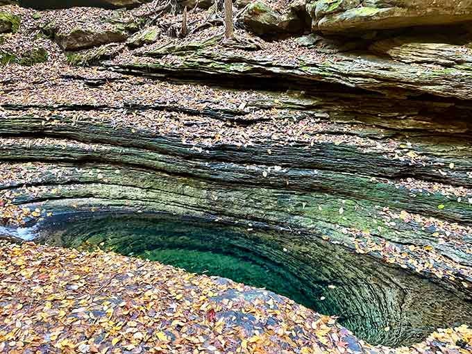 Sedimentary layers tell millions of years of geological history while you're just trying to decide where to sit.