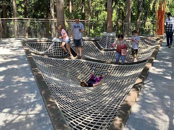 Kids bounce on cargo nets suspended in the trees, living their best Spider-Man fantasies forty feet up.