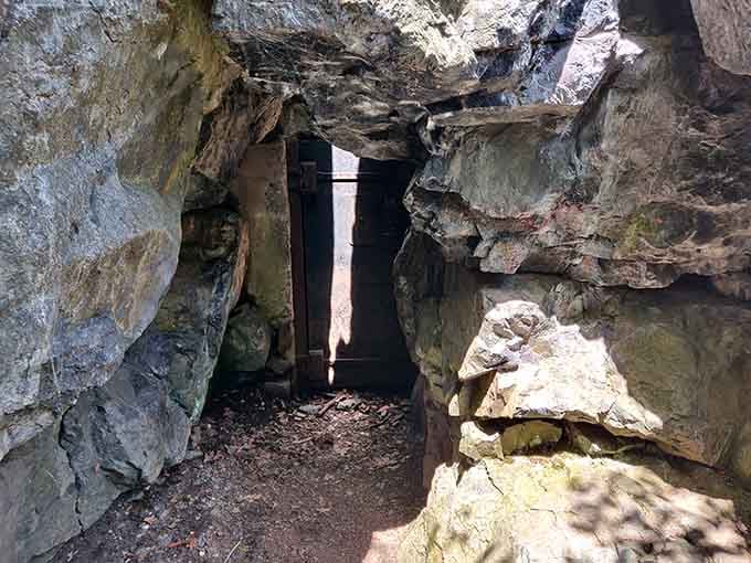 That iron gate is all that stands between you and a tunnel carved by pure obsession and black powder.