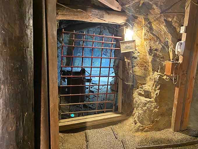 A gated passage hints at unexplored depths, reminding visitors that some mysteries remain locked away from curious tourists.