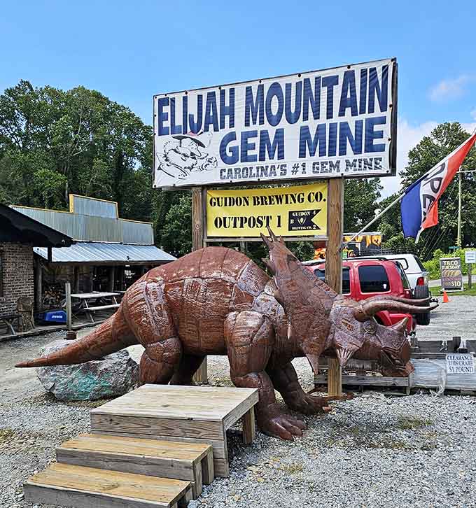 That triceratops has seen some things, but mostly just happy gem hunters all day long.