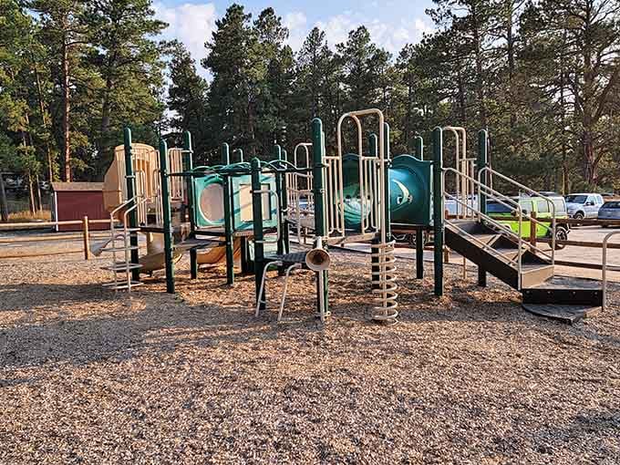 Modern playgrounds are great, but there's something about pine trees and fresh air that makes childhood memories stick around forever.