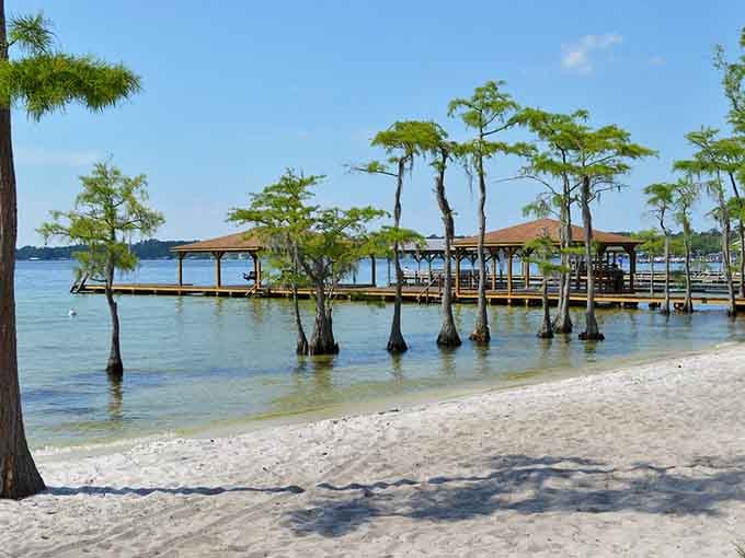 Cypress trees rise from the water like nature's own sculpture garden, creating an otherworldly scene that cameras barely capture.