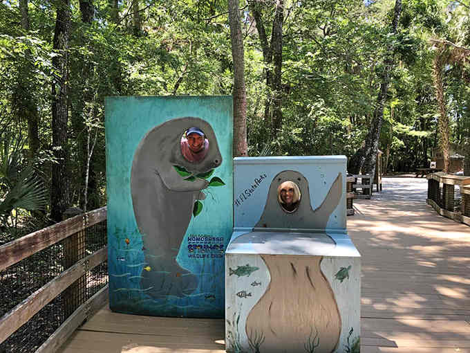 Become a manatee for a moment, minus the lettuce diet and the constant need for warm water.