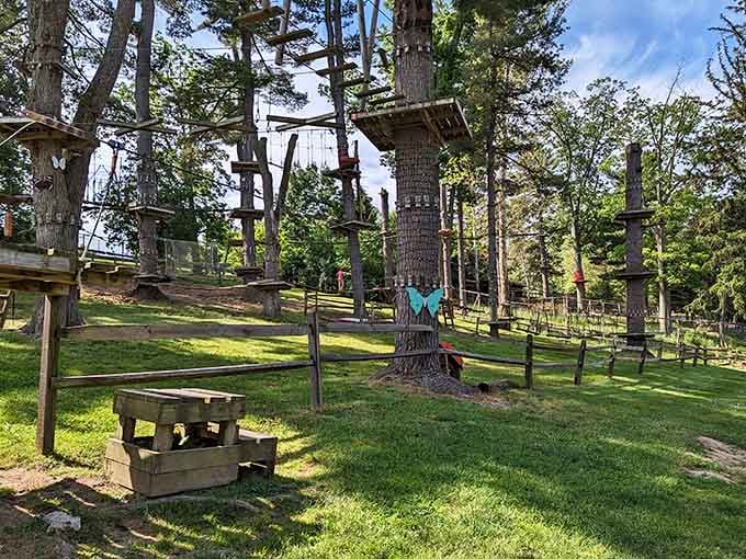 That aerial adventure course turns regular humans into temporary Tarzans, minus the loincloth and yodeling.