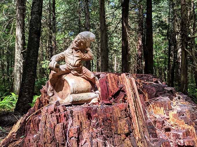 Carved from wood and weathered by time, this gnome grandmother surveys her woodland domain from her stump throne.