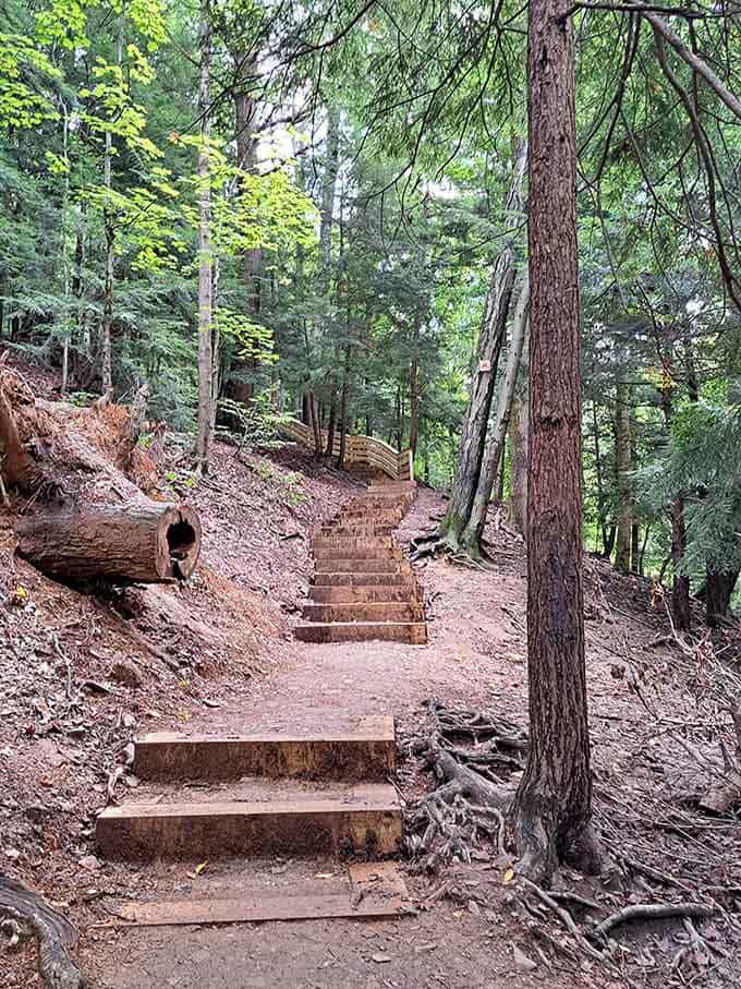 The wooden steps descend like a stairway to geological wonderland, where your leg muscles earn their keep beautifully.