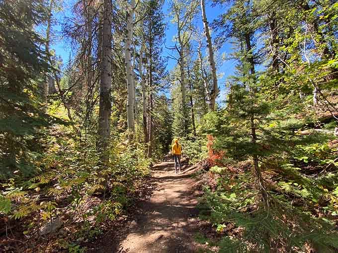 The trail gets real here, where switchbacks and determination are your best friends on the climb up.