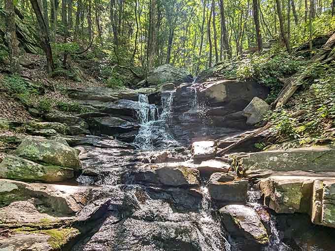 Water cascading over ancient rocks in dappled sunlight, nature's own white noise machine without the subscription fee required.