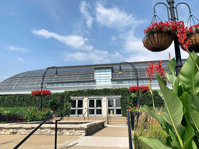 The entrance welcomes you with hanging baskets that bloom like they've never heard of winter before today.