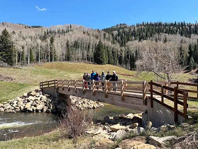 A peaceful bridge crossing near the spring, where mountain views remind you why Colorado living beats everything else.