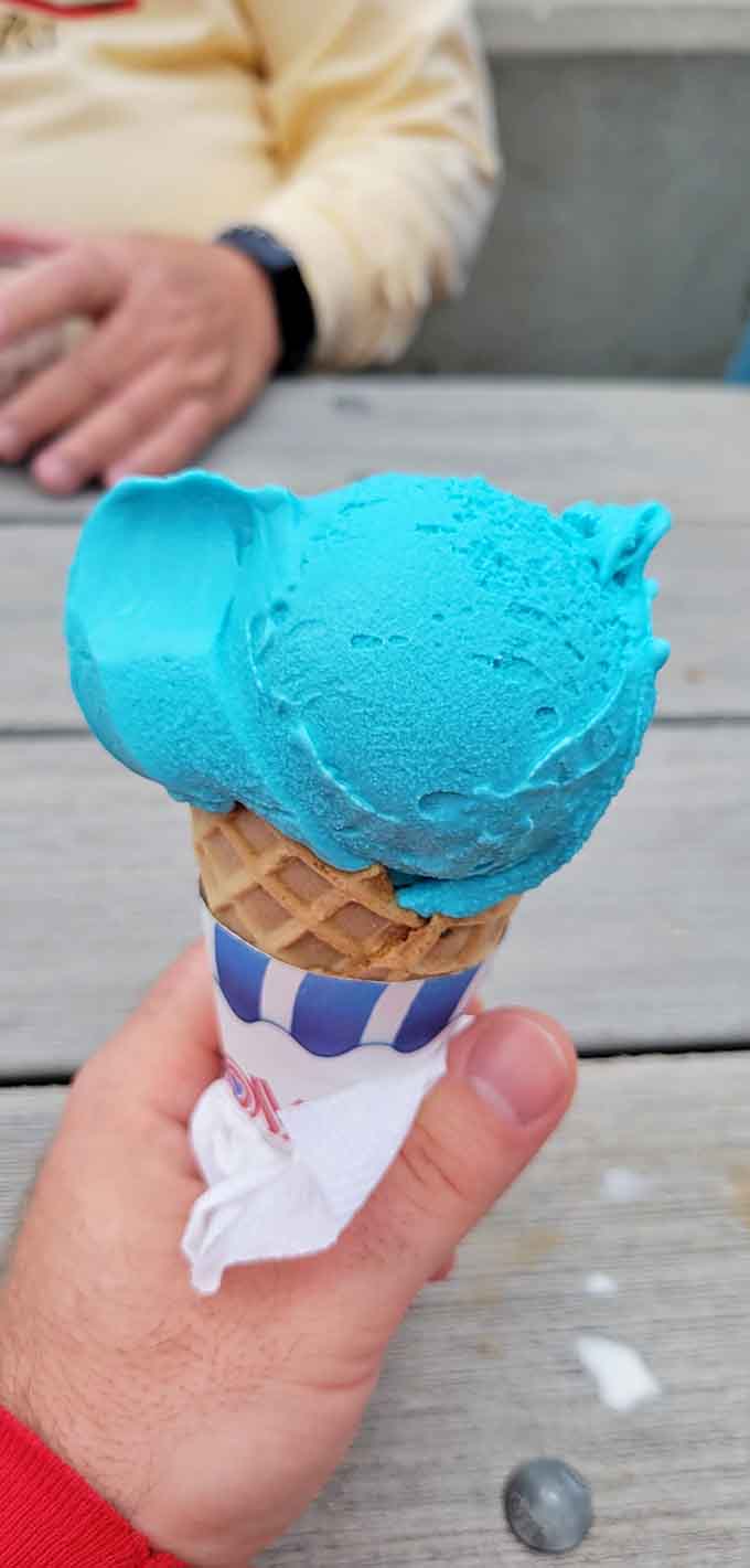 Blue Moon custard: proof that sometimes the most delicious things are also the most inexplicably colored.