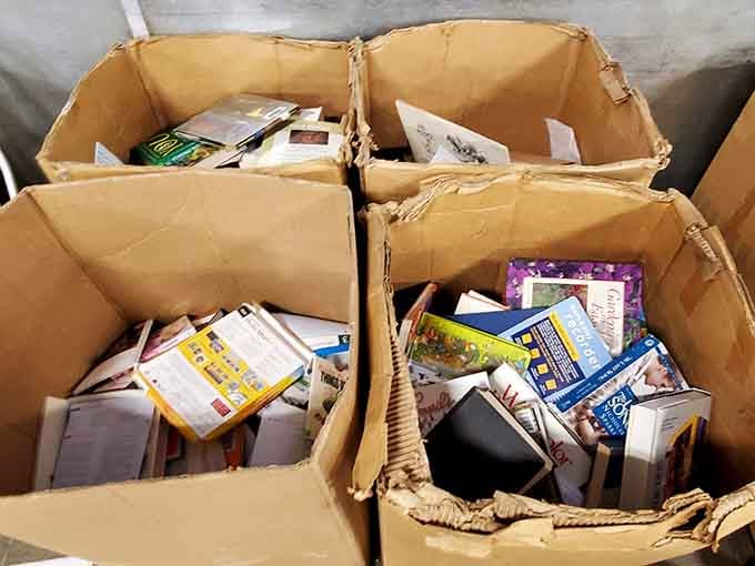 Cardboard boxes brimming with forgotten bestsellers and hidden literary gems await their next chapter with new readers.